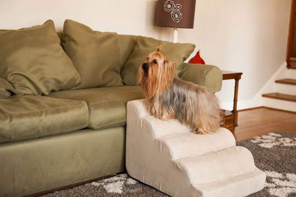 Snoozer Dog Disaster · CozyCave.EU